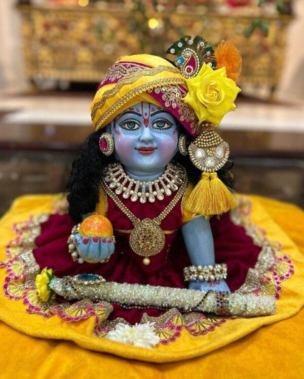 A Complete Guide to Laddu Gopal: 10 Essential Facts You Need to Know ...