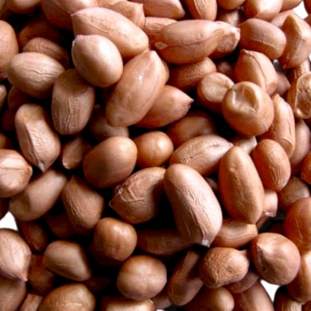Premium Desi Red Ground Raw Peanut Chinabadam - High in Nutrition ...
